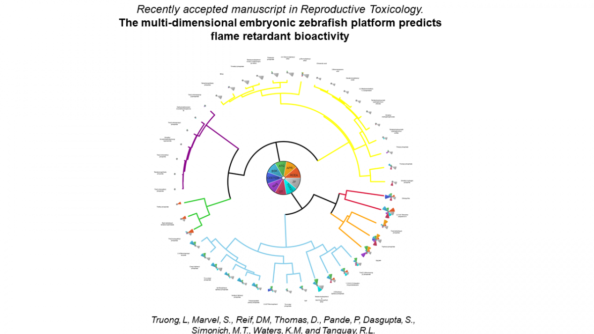 News - Page 4 of 8 - Tanguay Lab