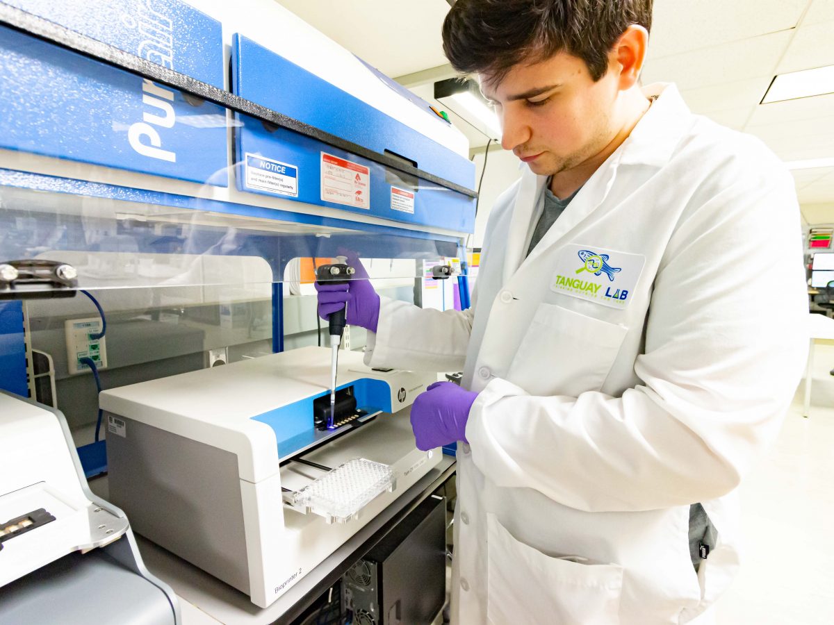 Research Opportunities - Tanguay Lab